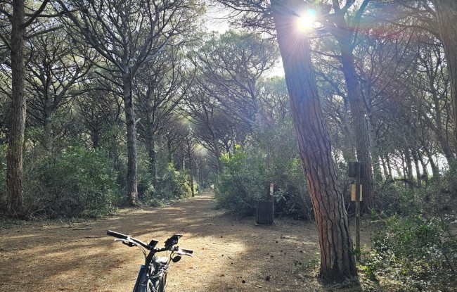 Klub miłośników turystyki kamperowej - CamperTeam :: Zobacz temat ...