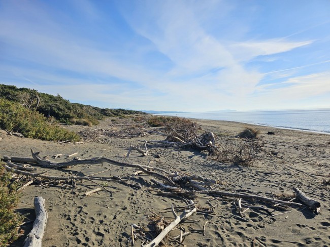 Klub miłośników turystyki kamperowej - CamperTeam :: Zobacz temat ...